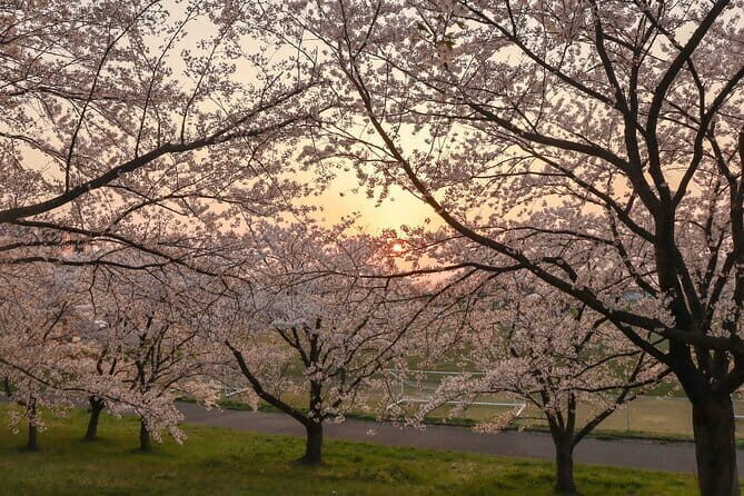 VIP Exclusive Hidden Niigata Tour with Artisans and Farmers - What Travelers Can Expect