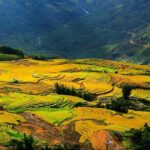 VIP LUXURY Sapa 2D1N -TRANSFER BY LUX LIMOUSINE CAR (Stay at 5* hotel) - Who Should Book This Tour?