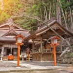 VIP: Mt Fuji Private Tour with Sengen Shrine Visit from Tokyo - Practicalities and What to Keep in Mind