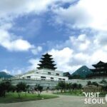 VIP Private Seoul City Tour - Analyzing the Cost and Value