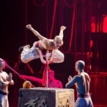 VIP Seated Kungfu Show With Dinner Option and Transportation - Understanding the Value of VIP Seating and Transportation