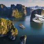 VIP TOUR - Seaplane 25-minutes + Halong Bay Cruise 1 Day - Who Will Love This Tour?