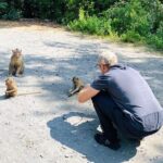 VIP Tour to Can Gio Mangrove Forest by Speed Boat - Pricing & Value
