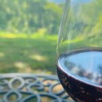 Virginia Wineries Tour - In-Depth Look at the Itinerary