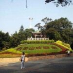 Visa-Free Private City Tour for Guangzhou Airport Layover Visitor - Why This Tour Offers Great Value