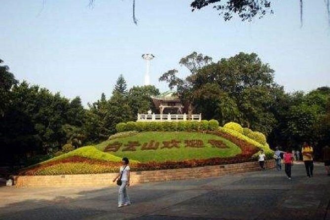 Visa-Free Private City Tour for Guangzhou Airport Layover Visitor - Why This Tour Offers Great Value