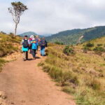 Visit Horton plains and Nuwara Eliya from Ella - Authentic Experiences That Matter