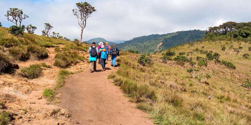 Visit Horton plains and Nuwara Eliya from Kandy - Detailed Breakdown of the Itinerary