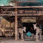 Visite d'une Journée de Merapi au Départ de Yogyakarta avec Guide Francophone - The Sum Up