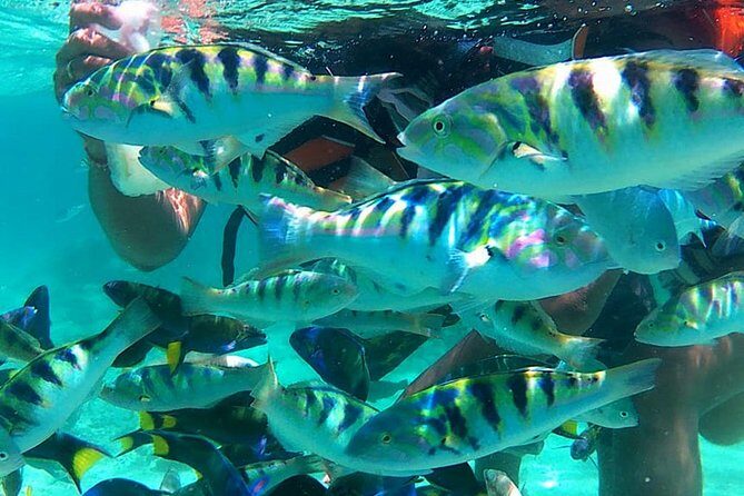 Visite L'île de Lombok: Pittoresque plage rose avec Guide Francophone - Who This Tour Suits Best