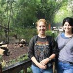 Visiting Chengdu Panda Base in a Half Day - Practical Tips for Travelers