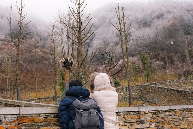 Visiting Wolong Panda Base and Hiking on Heritage Site - Visiting Wolong Panda Base: What to Expect