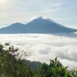 Volcano Bali Tour with Ubud Village - Tegenungan Waterfall - Rice Terrace - What Travelers Say