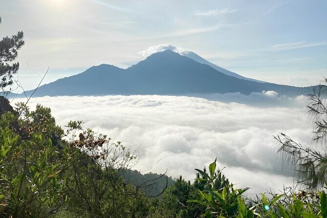 Volcano Bali Tour with Ubud Village - Tegenungan Waterfall - Rice Terrace - What Travelers Say