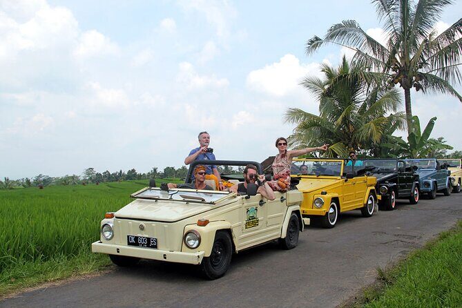 VW Safari Bali Tour: UNESCO World Heritage Sites in Bali - Final Thoughts on Value and Experience