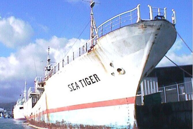 Waikikis Best Wreck And Reef Dive - Overview of the Waikiki Wreck and Reef Tour