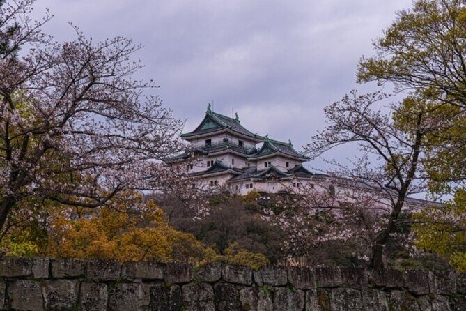 Wakayama Castle and Kuroshio Market 1 Day Tour - What Travelers Say and What to Expect