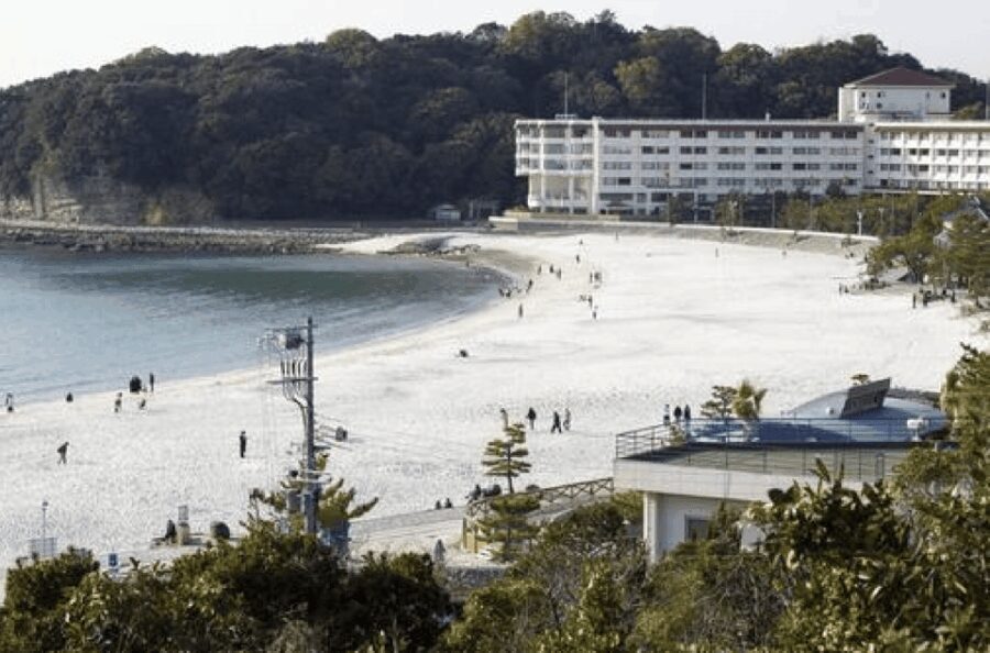 Wakayama: Customizable Private Day Tour - Practical Details and Considerations