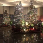 Walk Tokyo's Streets with Tokyo Midtown Tour - Who Is This Tour Best For?