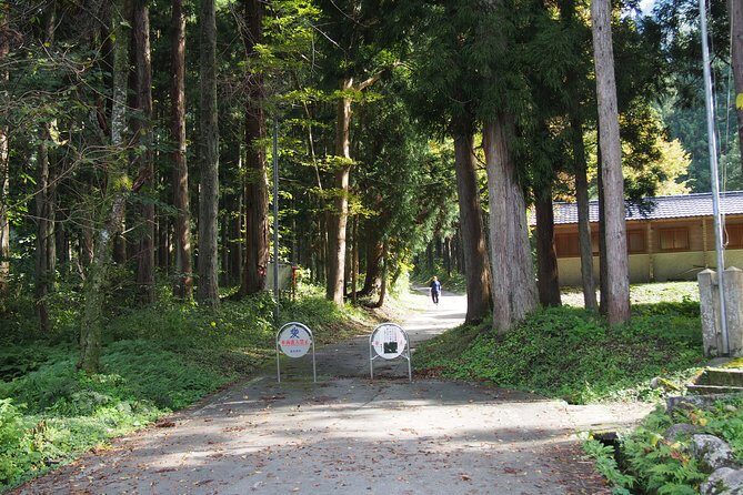 Walking & cycling - Practical Details and Logistics