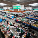 walking in the city - Authentic Experiences and What Travelers Say