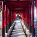 Walking Tour in Shinjuku & Kagurazaka: Tokyo's Hidden Gems - An In-Depth Look at the Tour Experience