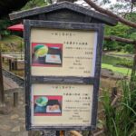 Walking tour, Tokyo Great Buddha, Botanical Garden, etc. - An Authentic Look at Tokyo’s Hidden Corners