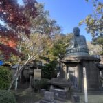 Walking Tour: Yanaka,Nezu& Sendagi: Tea Ceremony & Old Tokyo - A Deep Dive into the Experience