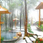 Wanfu Hot Spring Relaxing Time(Round trip takes 4-5hours) - Real Traveler Insights