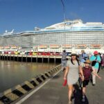 War Relics of Saigon Shore Excursion from Phu My Port - Who Will Get the Most Out of This Tour?