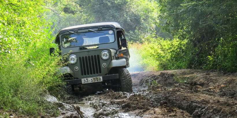 Wasgamuwa National Park Safari from Polonnaruwa - Who Is This Safari Best For?