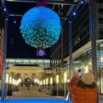 Washington, DC: Christmas Tree & Holiday Lights Bus Tour - The Experience and What Travelers Say