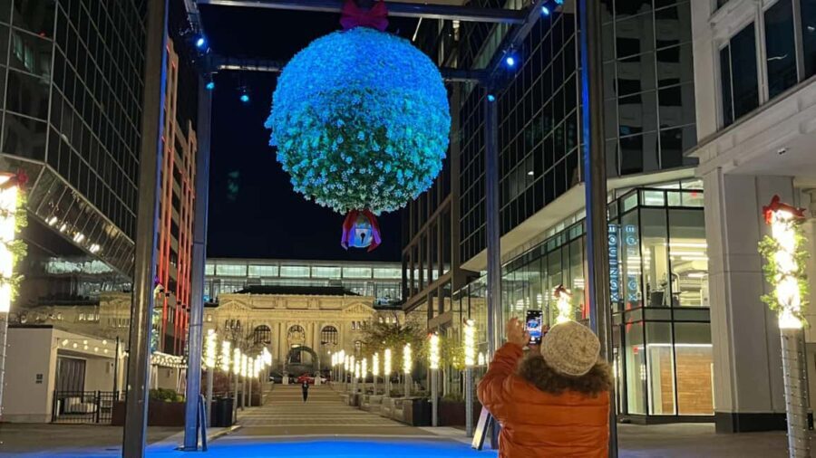 Washington, DC: Christmas Tree & Holiday Lights Bus Tour - The Experience and What Travelers Say