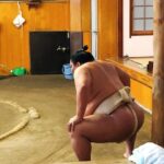 Watch Sumo Morning Practice at Stable in Tokyo - Final Verdict