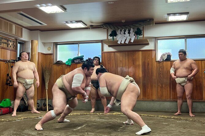 Watch the Real Sumo Morning Practice tour at Yokozuna stable - Who Will Enjoy This Tour Most?