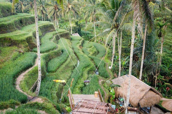 Water Rafting adventure with Jungle Swing & rice terraces - An Unrivaled Bali Adventure: The Details