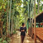 Waterfall & Plantation - Practical Details and What You Should Know