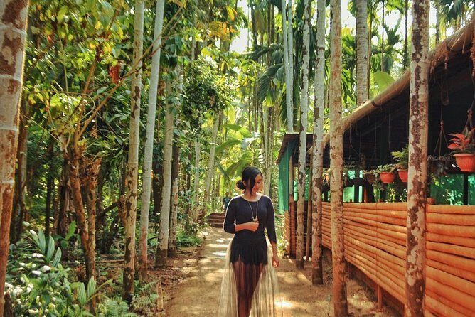 Waterfall & Plantation - Practical Details and What You Should Know