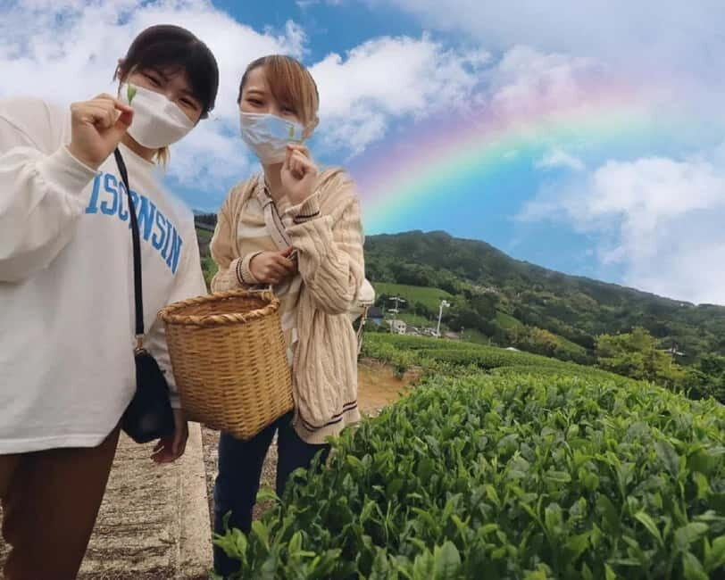 Wazuka: Tea Picking Experience with Matcha Tea Tasting - Frequently Asked Questions