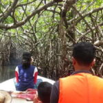 West coast Beach, River Mangroves lagoon, Wildlife boat Tour - Whats the Value of This Tour?