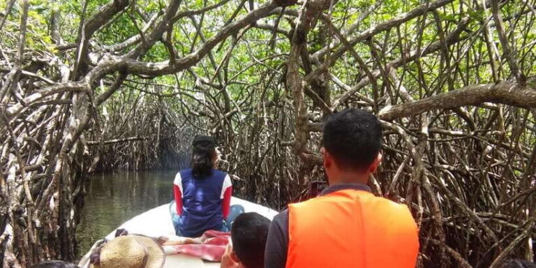 West coast Beach, River Mangroves lagoon, Wildlife boat Tour - Whats the Value of This Tour?