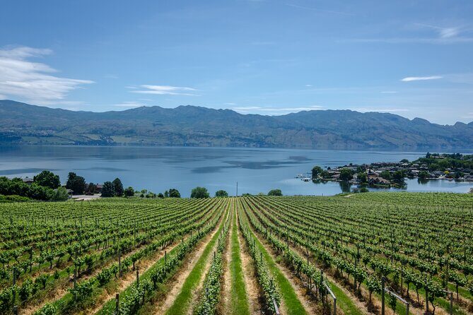 West Kelowna Full Day Lunch Wine Tour-Incl Tastings & Guide Grat - What Does This Tour Mean for You?