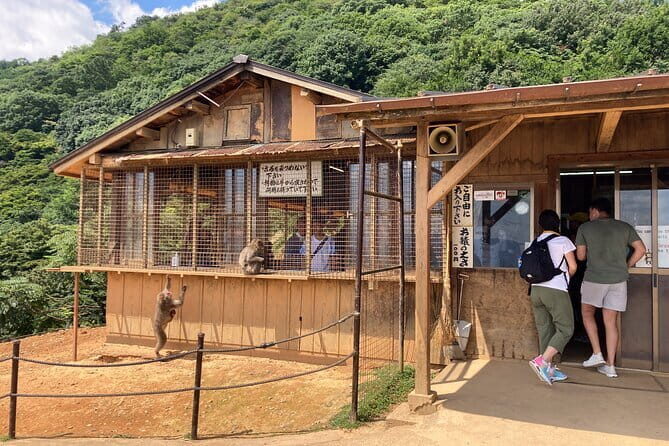 West Kyoto & Arashiyama: Walking 1Day Tour w/Matcha & Calligraphy - Why the Cultural Activities at Kinkakuji Matter