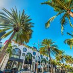 West LA Holiday Donut Adventure by Underground Donut Tour - Practical Details: Logistics and Experience