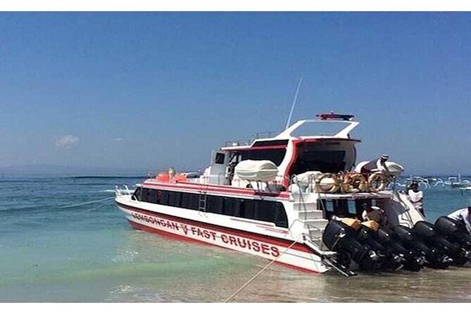 West Nusa Penida Full-Day Private Tour - Visualizing the Day