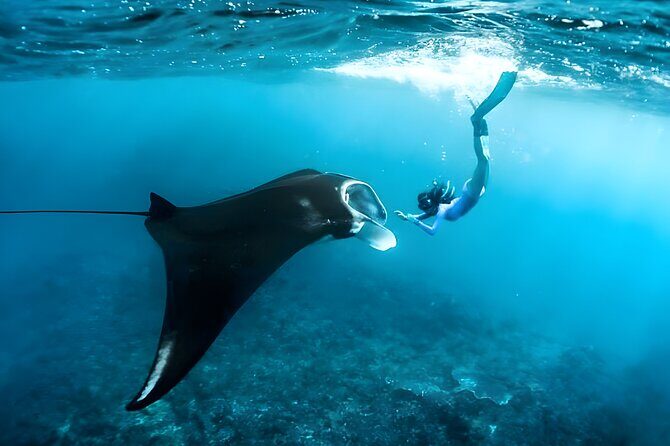 West Nusa Penida Island Snorkeling Tour - From Bali Island - Manta Bay: A Unique Encounter with Manta Rays