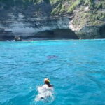West Trip and Snorkeling Nusa Penida - Real-World Experiences and Reviews