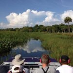 Western Everglades Adventure Tour - The Bottom Line: Is This Tour Worth It?