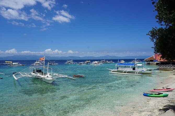 Whale Shark, Canyoneering, Sardines Run and Turtles with Transpo - A Closer Look at the Itinerary: What to Expect