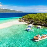 Whale Shark Encounter and Sumilon Sandbar with Kawasan Falls - What’s Included and What to Expect